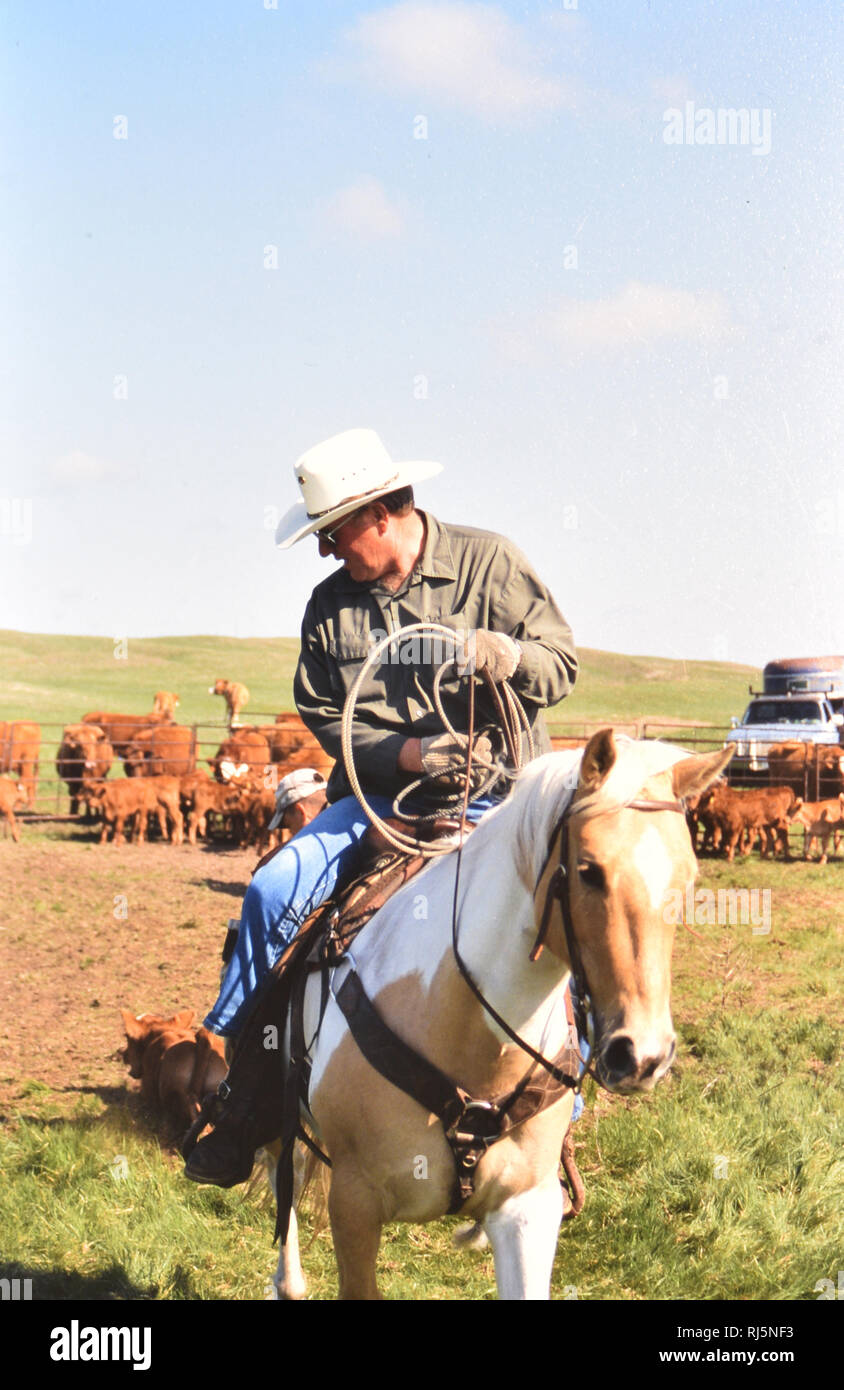 Early 2000s ranching hi-res stock photography and images - Alamy