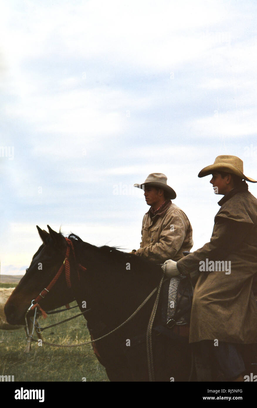 Early 2000s working ranch cowboy hi-res stock photography and images ...