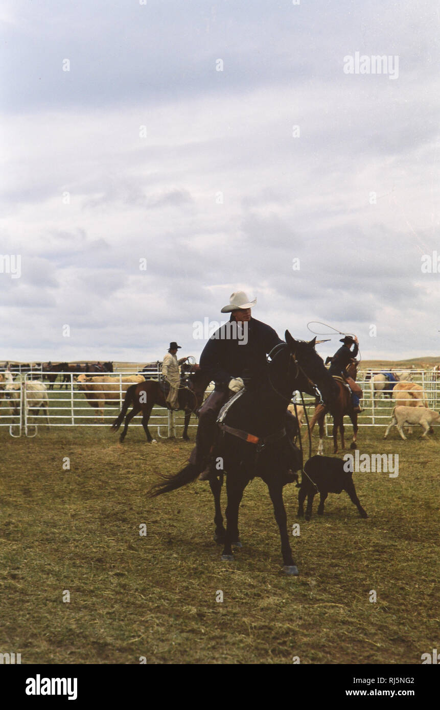 Real nebraska cowboys early 2000s hi-res stock photography and images ...