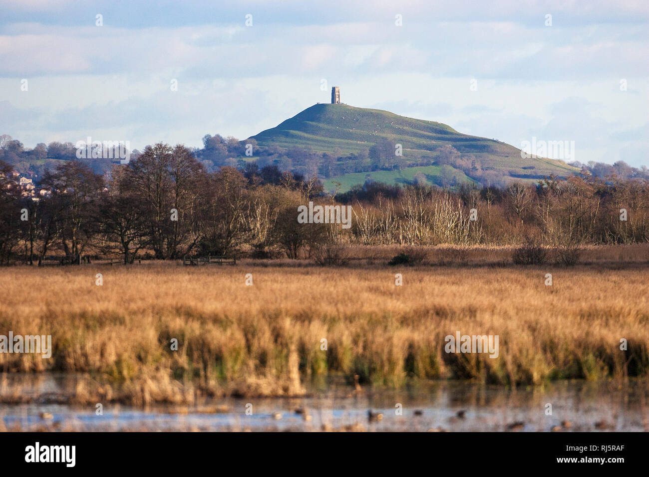 Catcott hi-res stock photography and images - Alamy