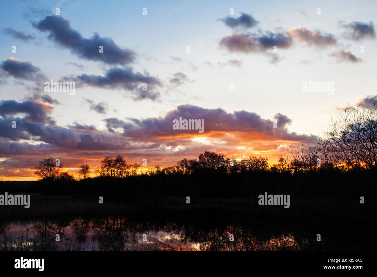 Sunset over Shapwick Heath National Nature Reserve Somerset England UK ...