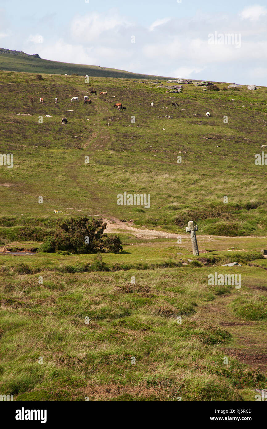 Windy Post Cross Grimstone and Sortridge Leat Dartmoor National Park ...