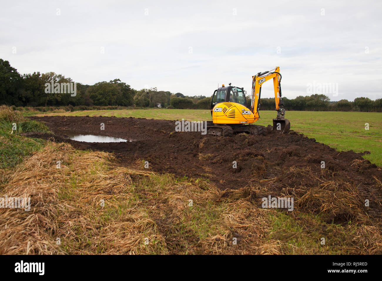 Creating slack water areas beside the River Avon Ringwood Hampshire ...