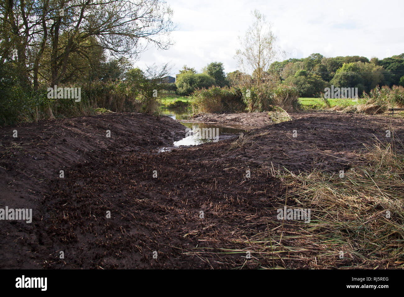 Creating slack water areas beside the River Avon Hampshire England UK ...