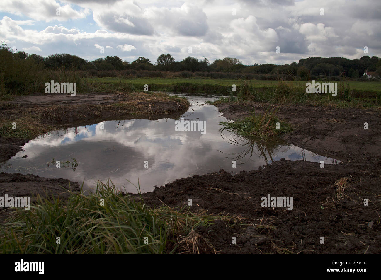Creating slack water areas beside the River Avon Hampshire England UK ...