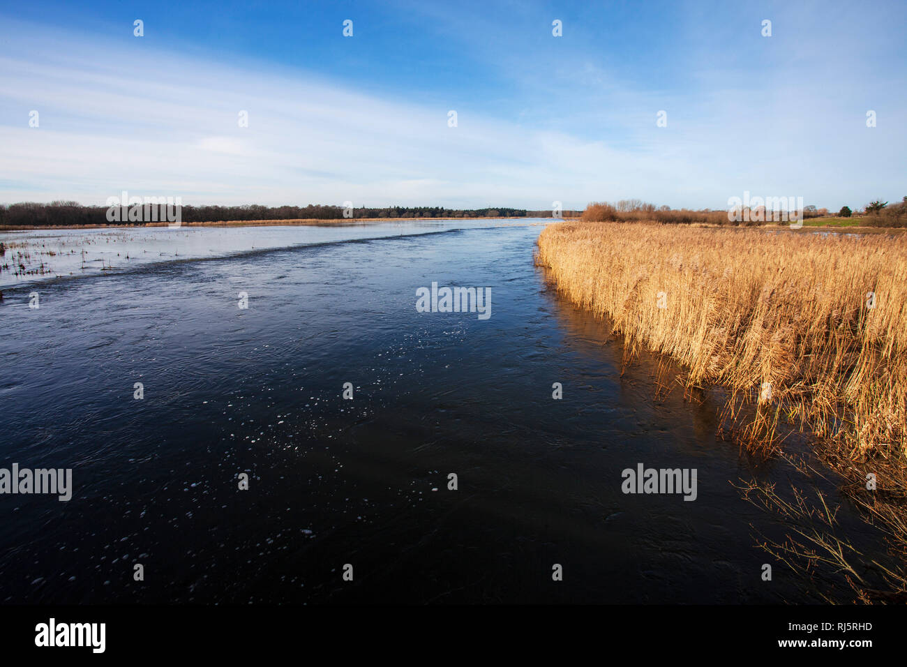 River Avon in flood Avon Causeway Hampshire England UK Stock Photo - Alamy