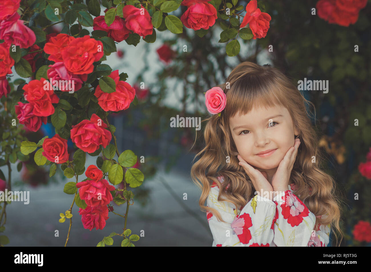 Cute Baby Girl With Red Rose