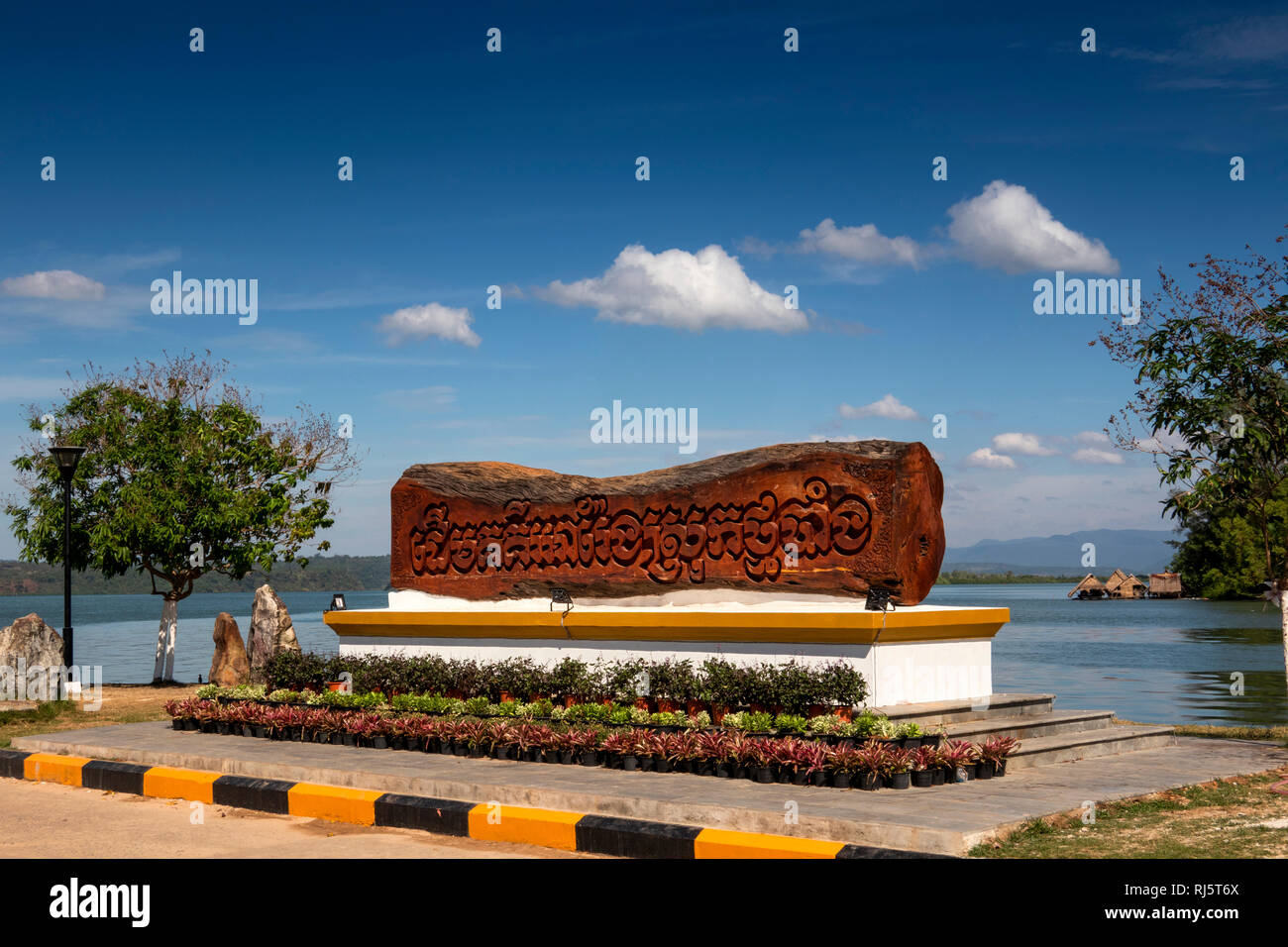 Cambodia, Preah Koh Kong, Krong Khemara Phoumin, this tree's name is ...