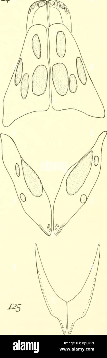 British dental association museum hi-res stock photography and images ...