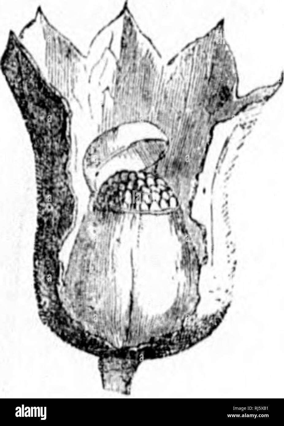 Pyxis medical hi-res stock photography and images - Alamy