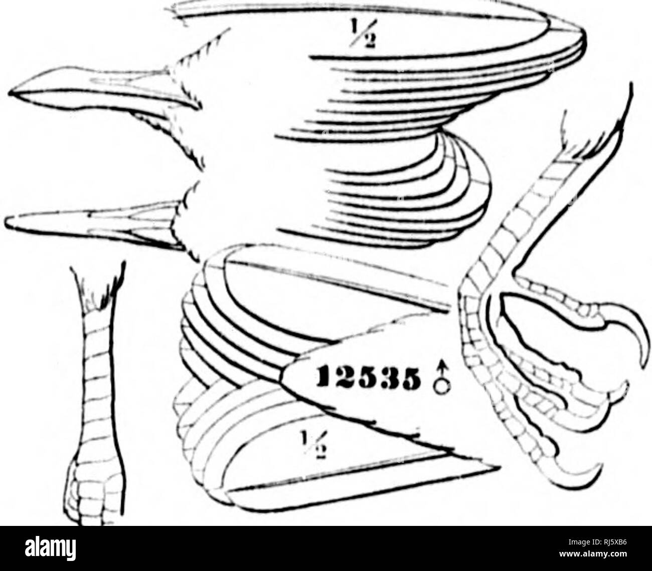 Itoil hi-res stock photography and images - Alamy