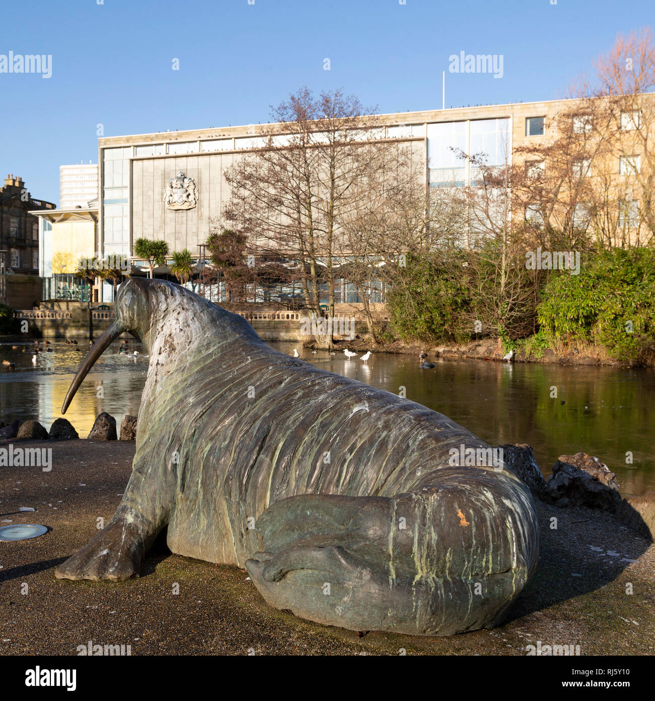 Walrus statue hi-res stock photography and images - Alamy