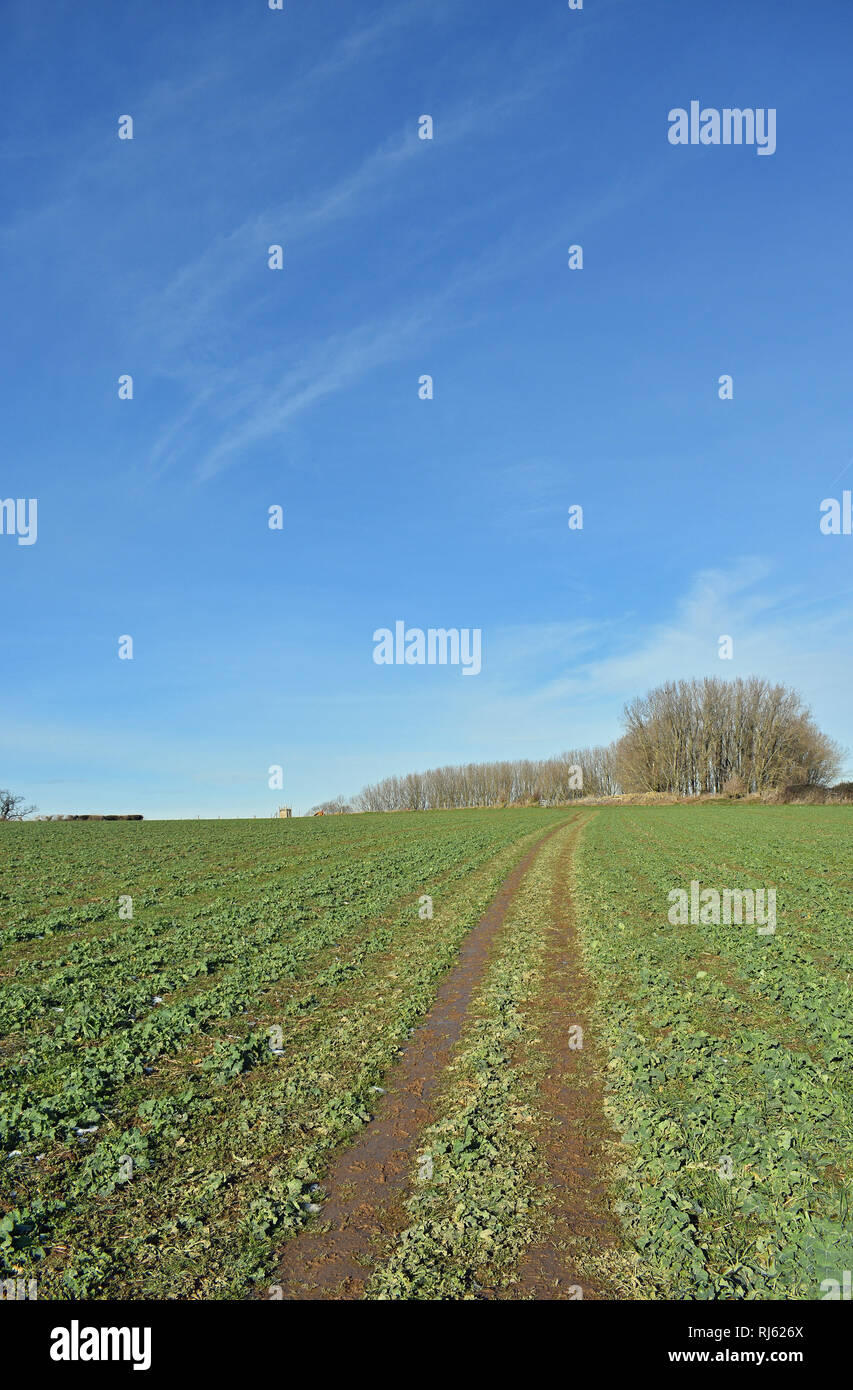 Heart of England Way Walking path from Broad Campden to Chipping ...