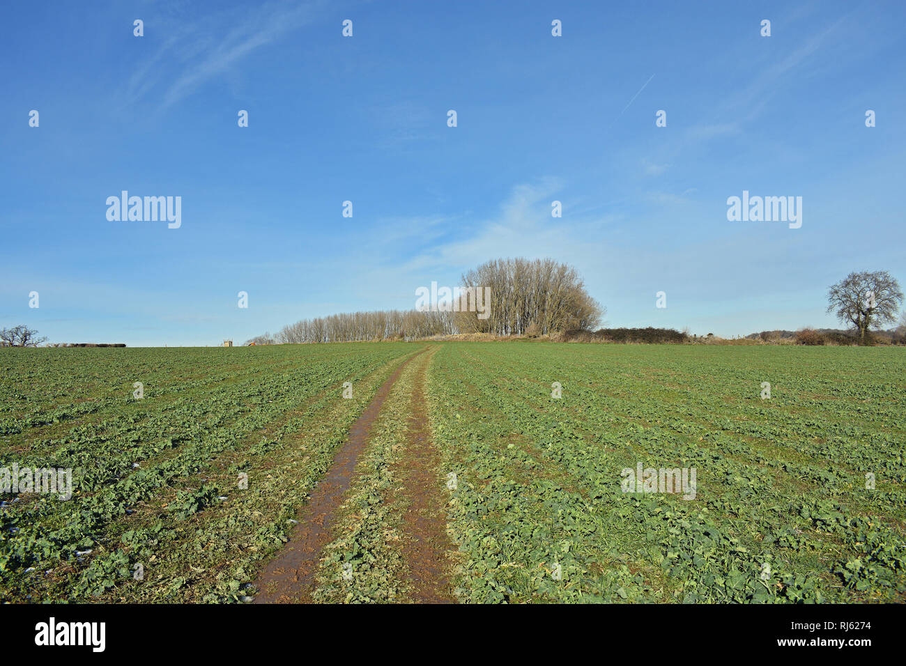 Heart of England Way Walking path from Broad Campden to Chipping ...