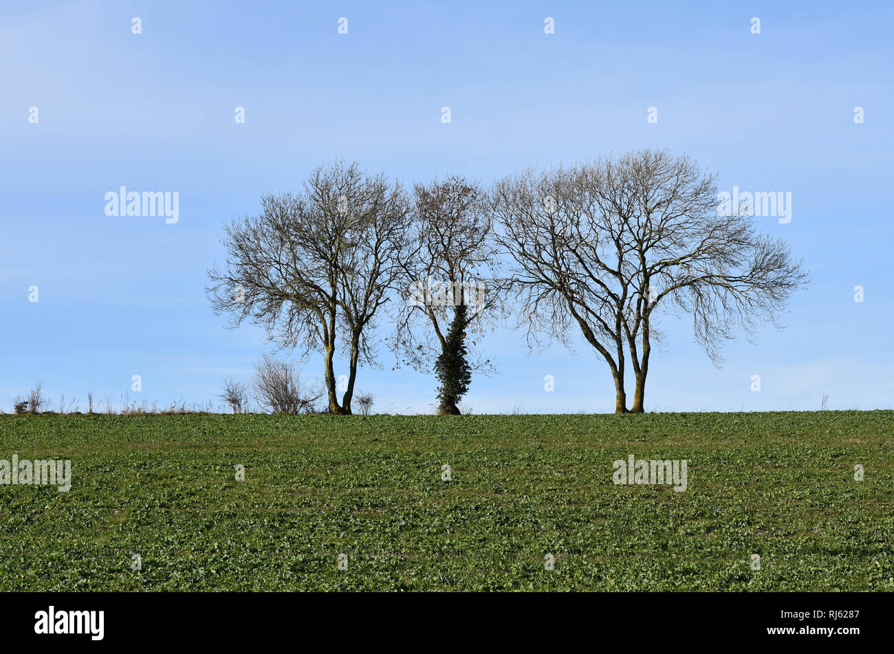 Heart of England Way Walking path from Broad Campden to Chipping ...