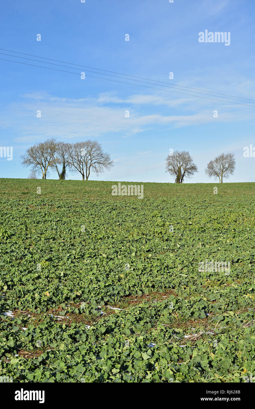 Heart of England Way Walking path from Broad Campden to Chipping ...