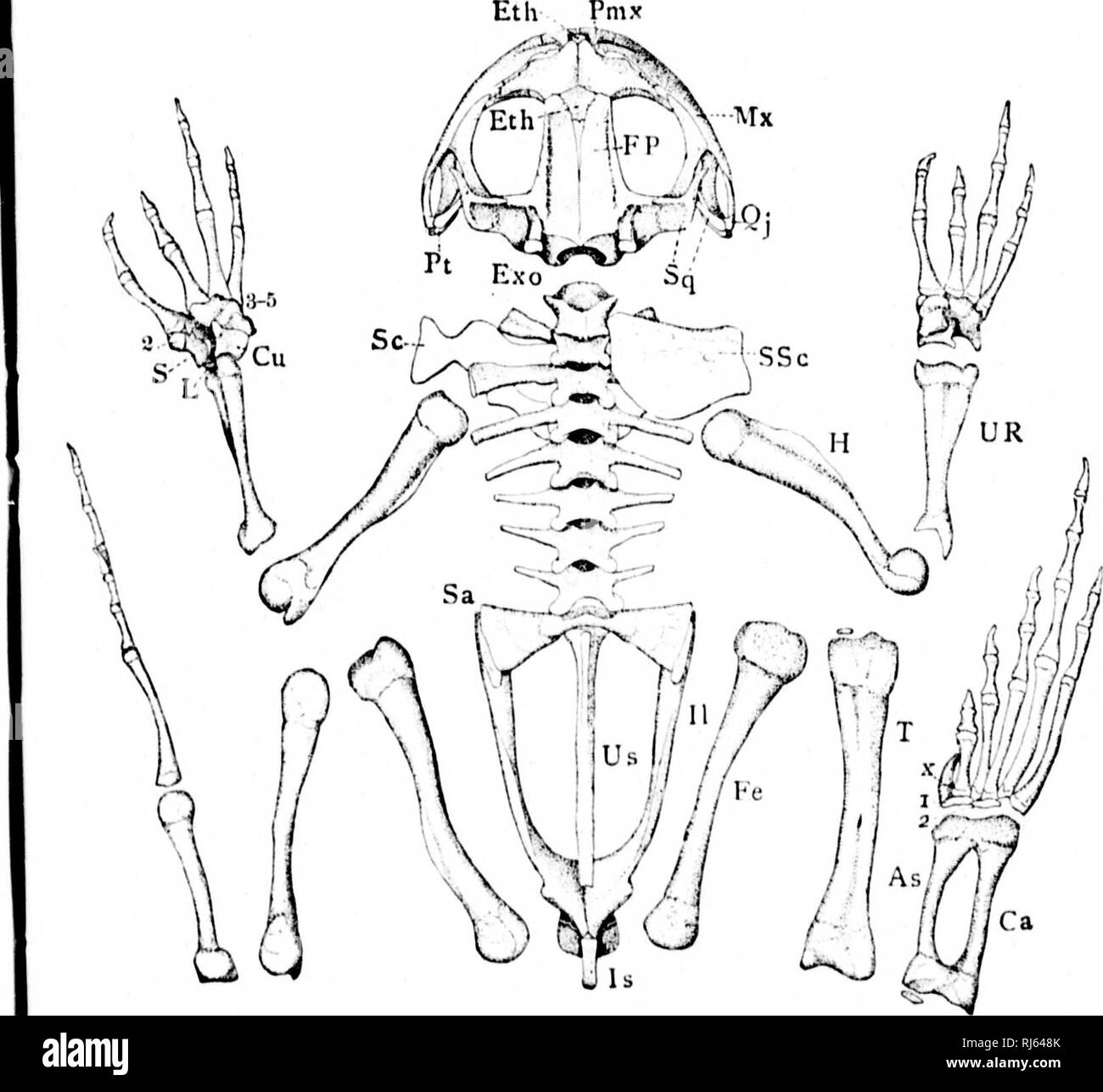 Acope hi-res stock photography and images - Alamy