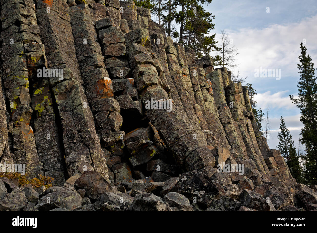 WY03139-00...WYOMING - Columnar basalt at Sheepeater Cliff in ...