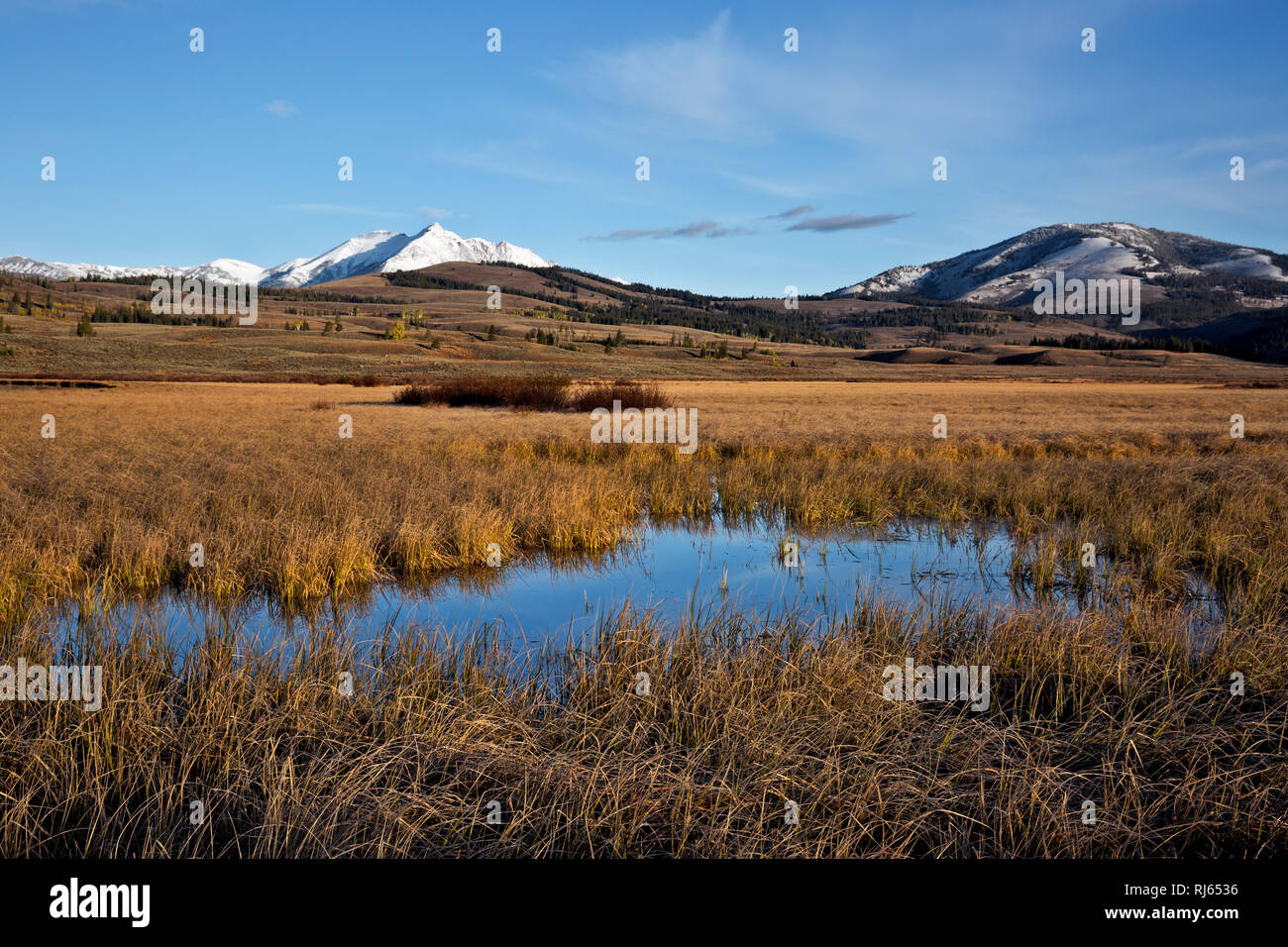 Gallatin range hi-res stock photography and images - Alamy