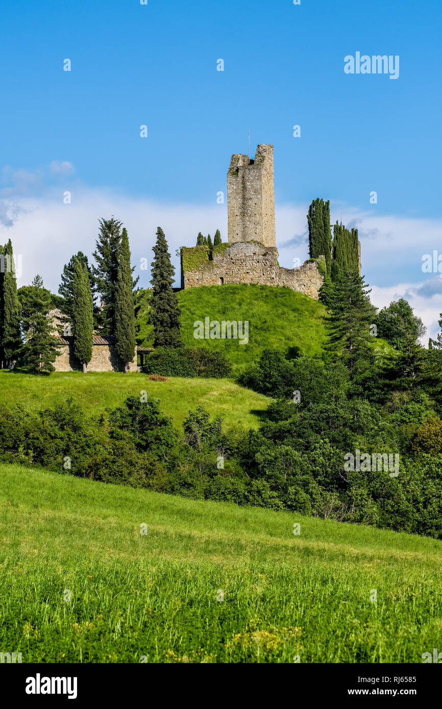 Castello di Romena located on top of a hill, framed by cypresses Stock ...