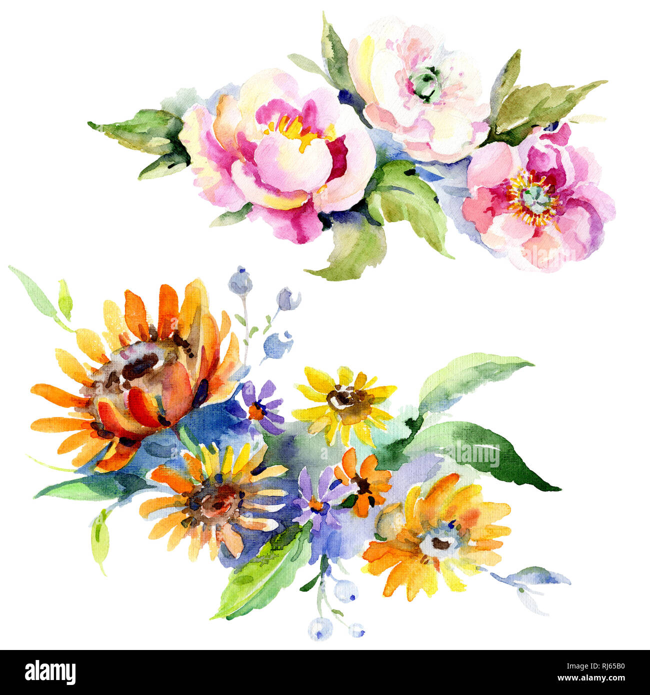 Bouquets floral botanical flower. Watercolor background illustration ...