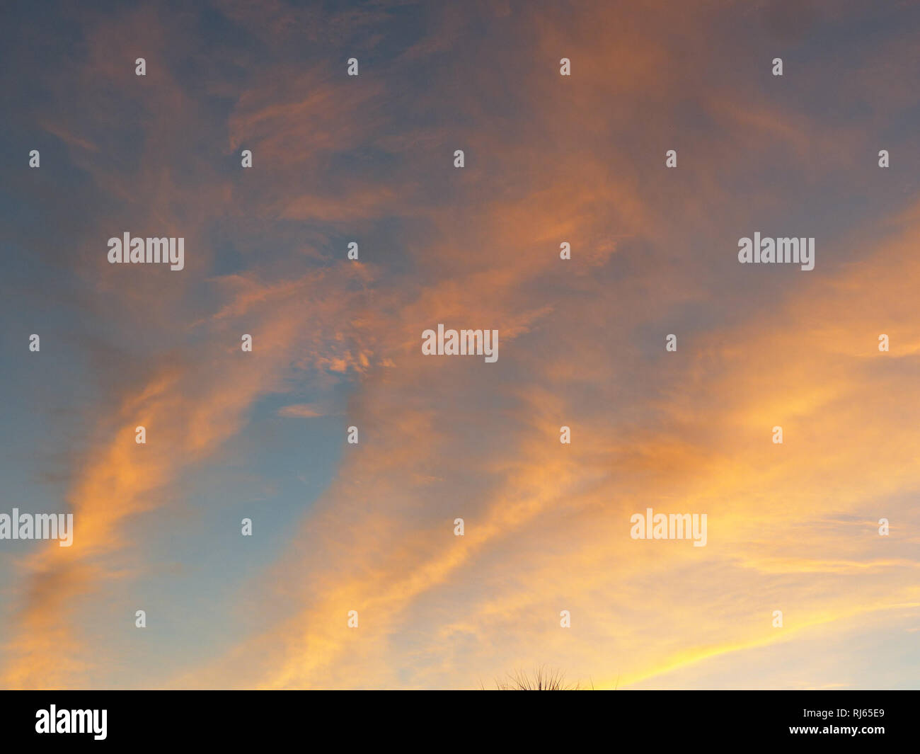 Evening sky littered by jet fumes Stock Photo - Alamy