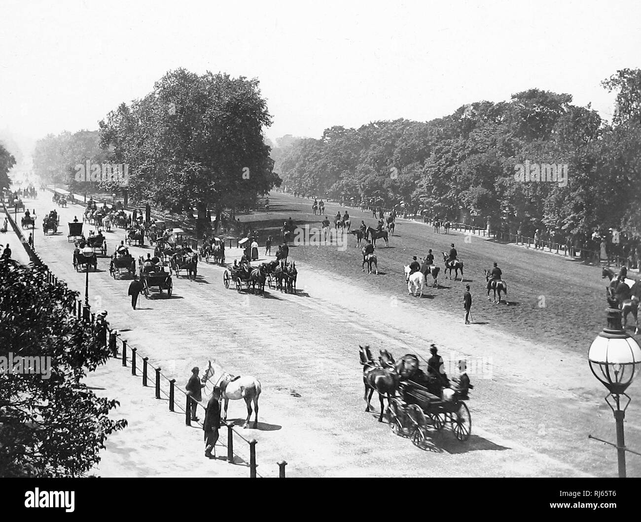 Rotten Row, Hyde Park, London Stock Photo - Alamy