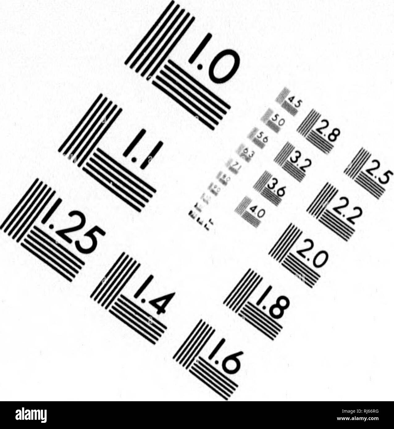 Iim image Cut Out Stock Images & Pictures - Alamy