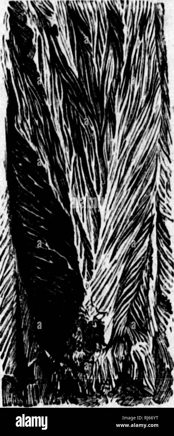 Rill marks hi-res stock photography and images - Alamy