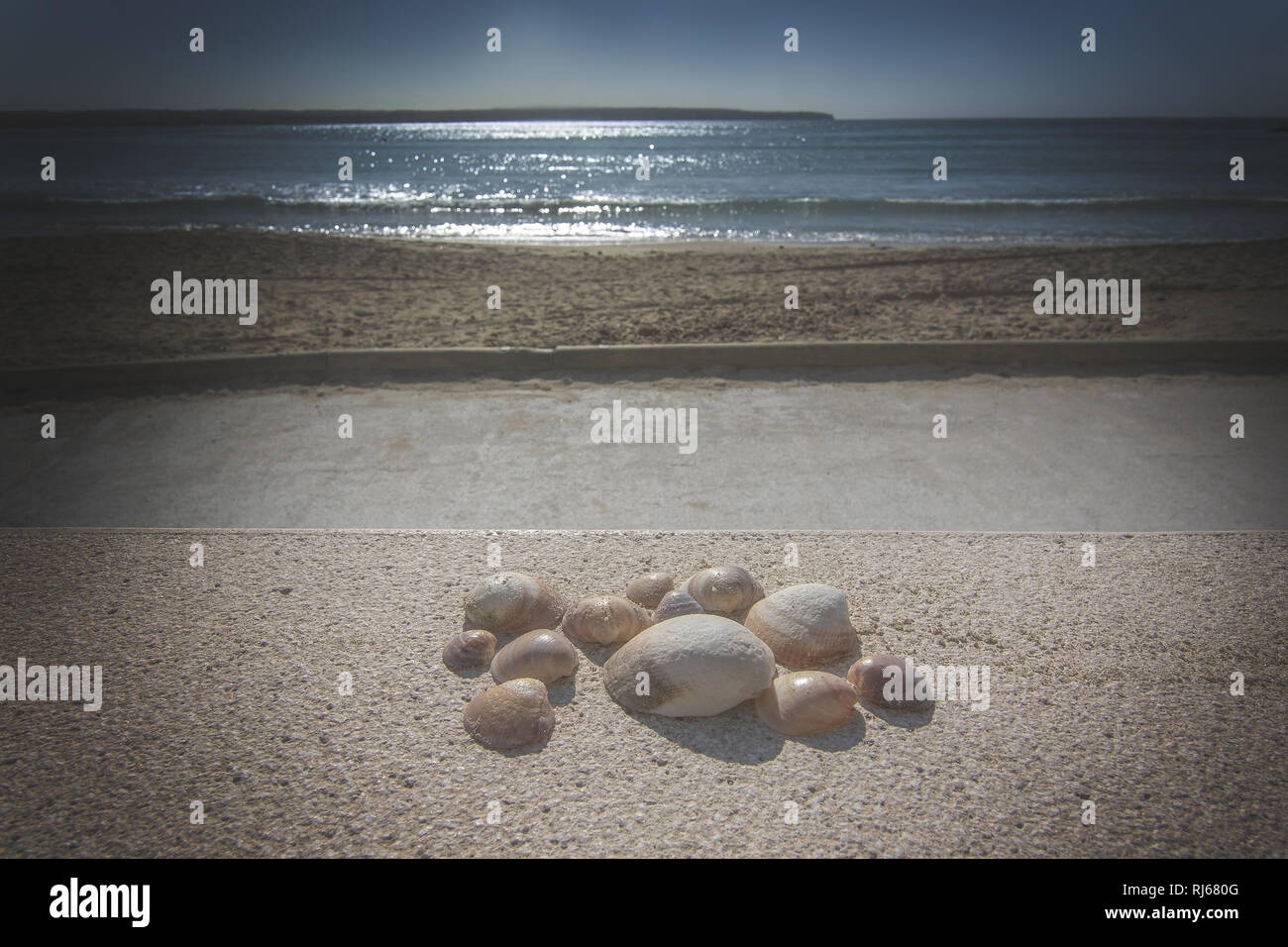 Collection of seashells on concrete wall in front of empty sand beach ...