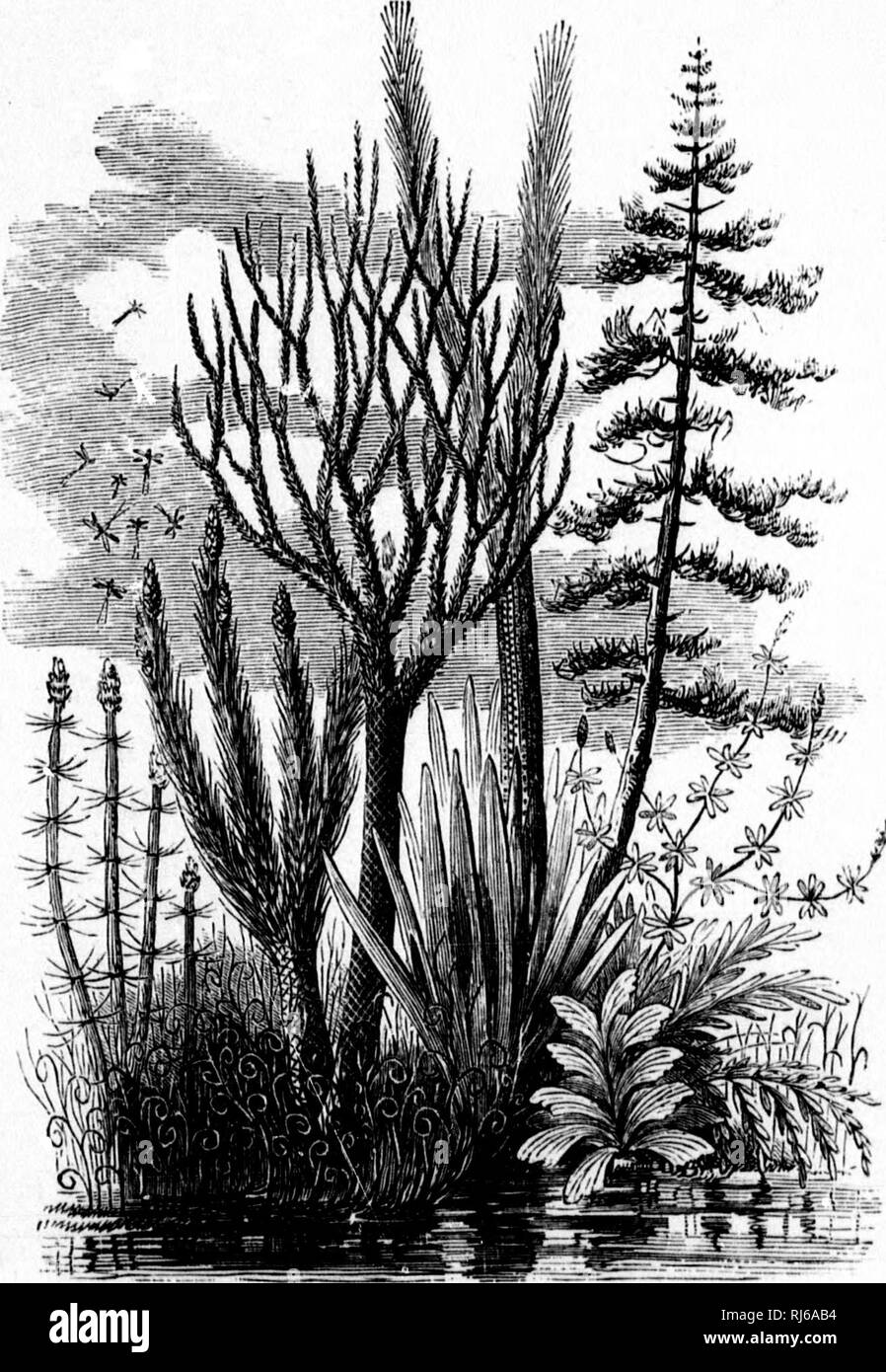 Hyton hi-res stock photography and images - Alamy