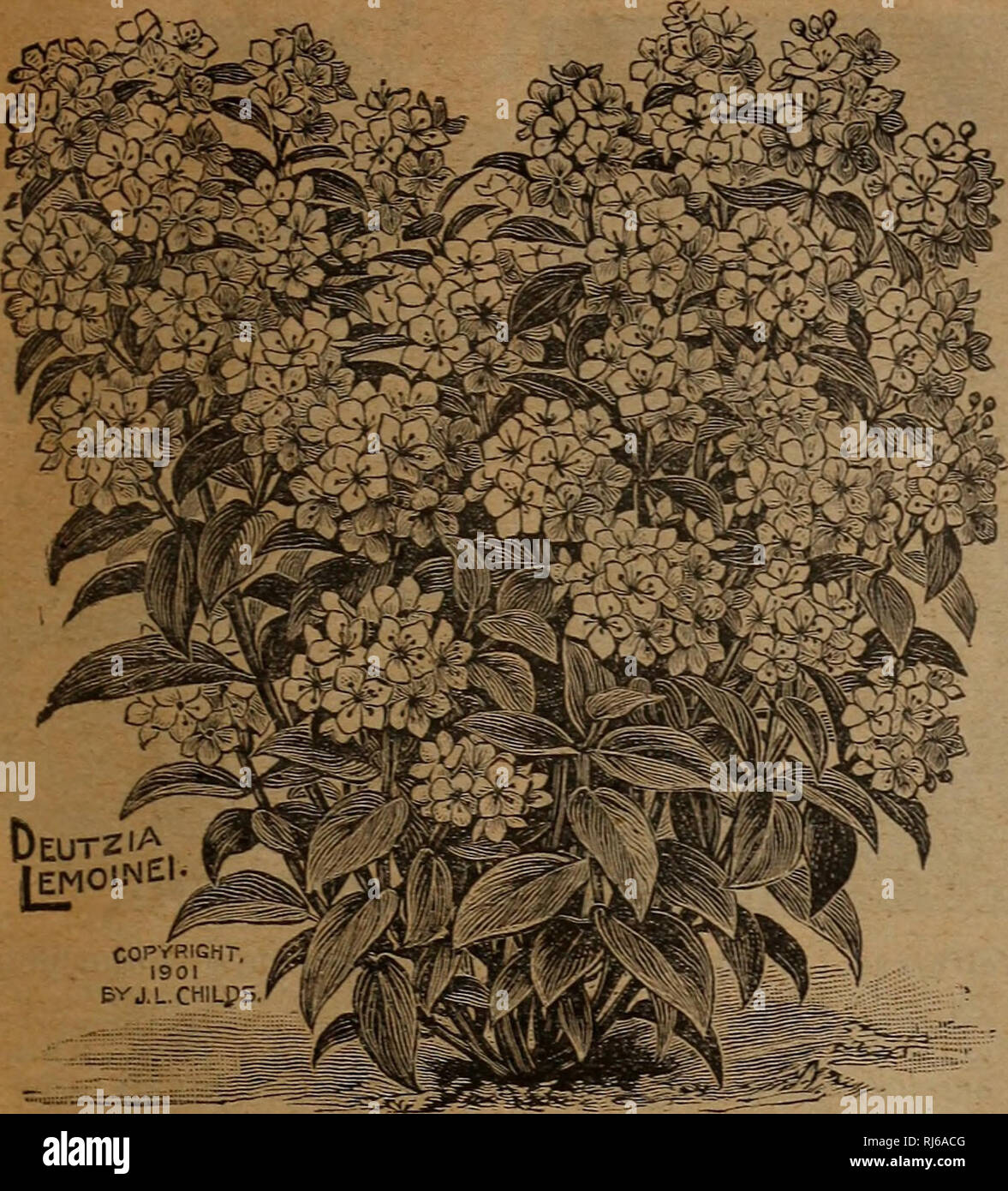 Spring loaded ball hi-res stock photography and images - Alamy