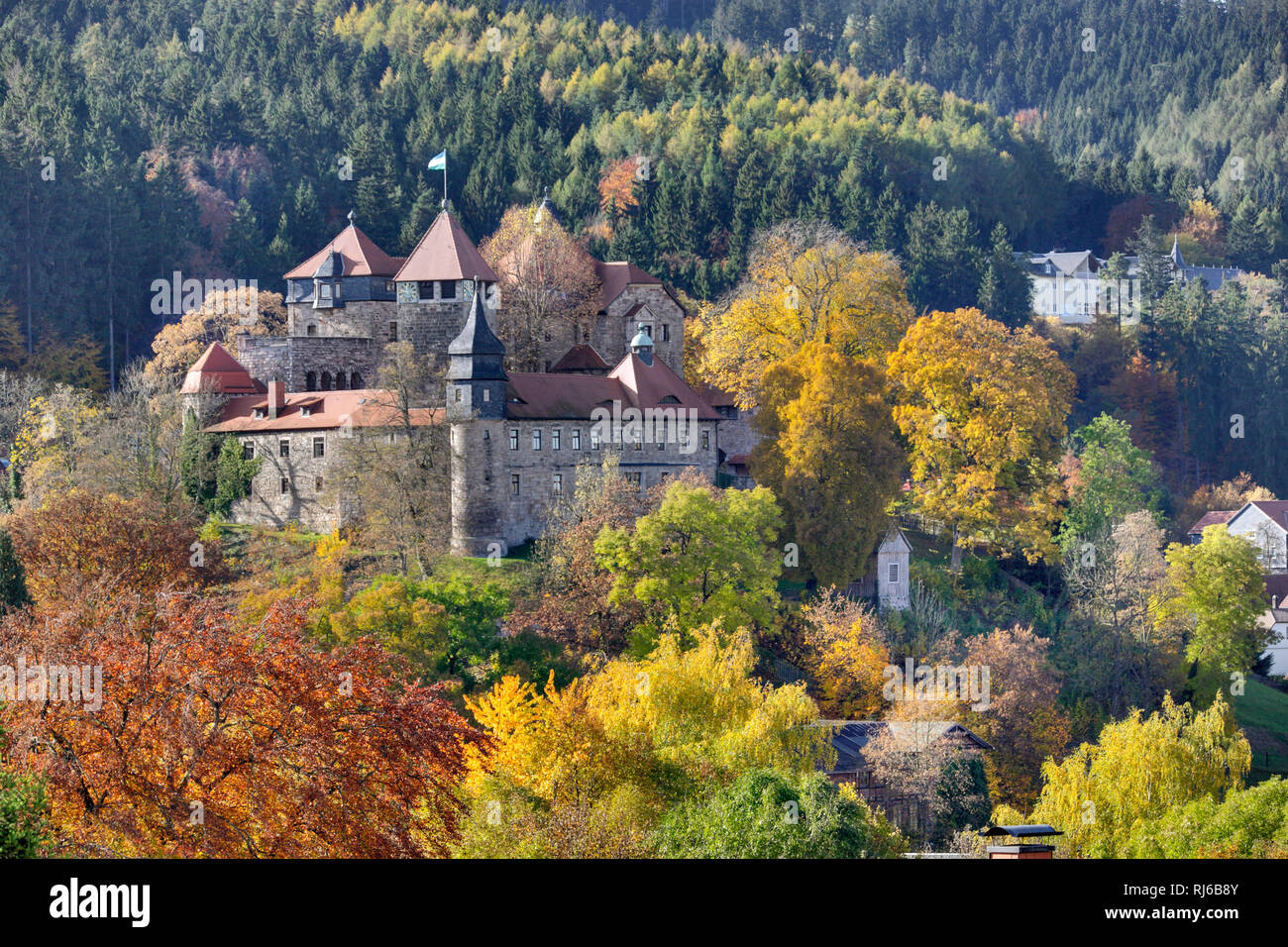 Deutschland, Thüringen, Elgersburg, Schloss, Wald, Fichten, Laubbäume ...
