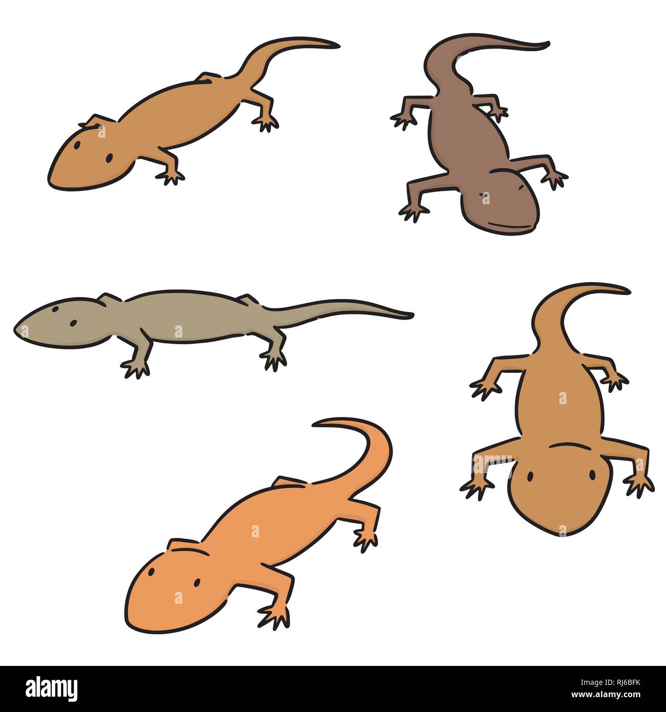 vector set of lizards Stock Vector Image & Art - Alamy