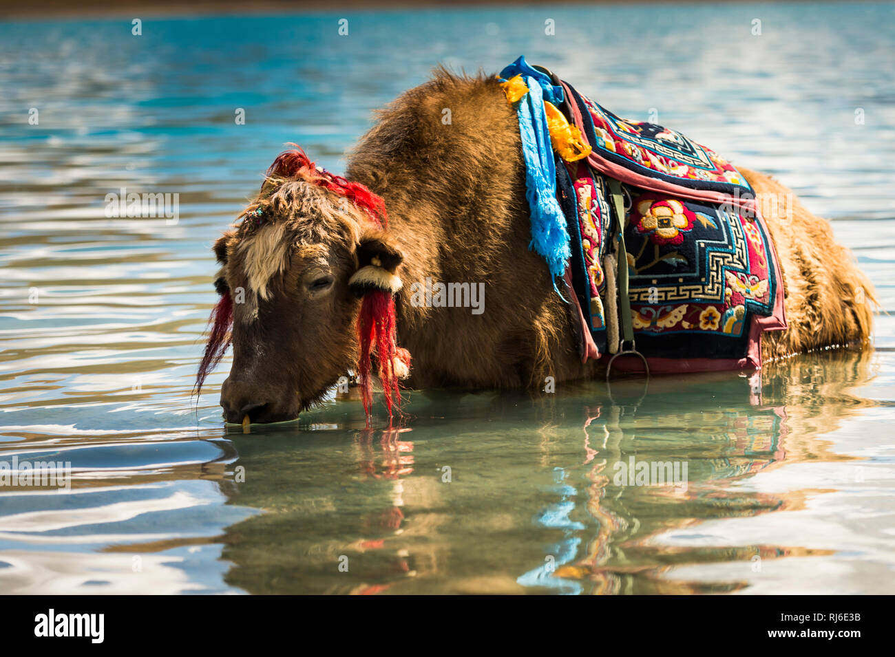 Flusslandschaften hi-res stock photography and images - Alamy