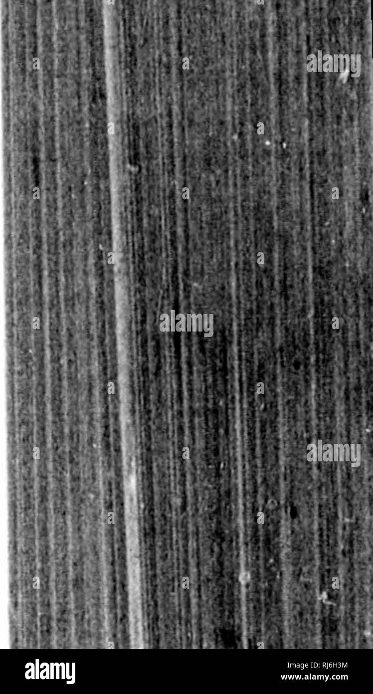 Horizontal stratum Black and White Stock Photos & Images - Alamy