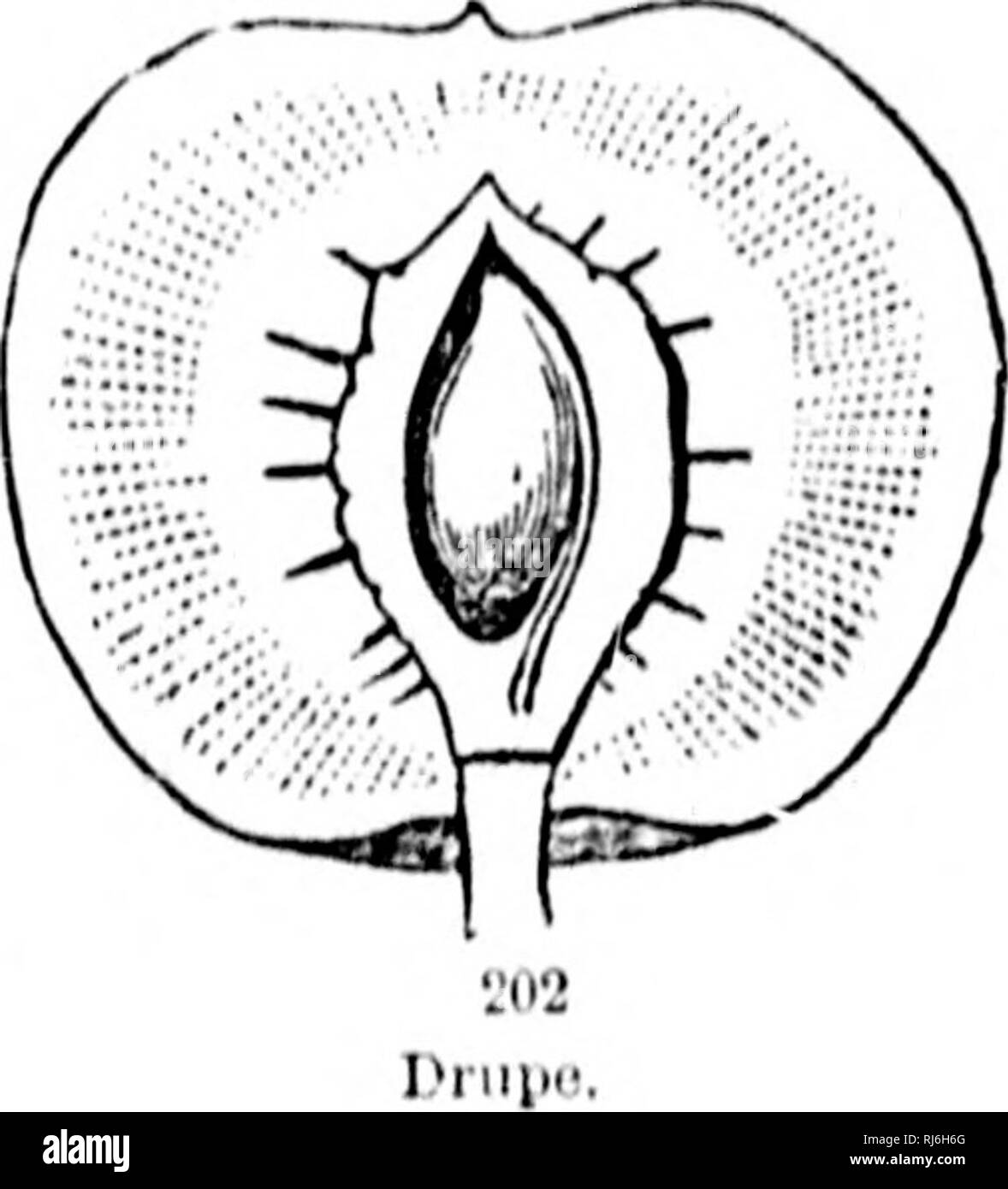 Prowin hi-res stock photography and images - Alamy