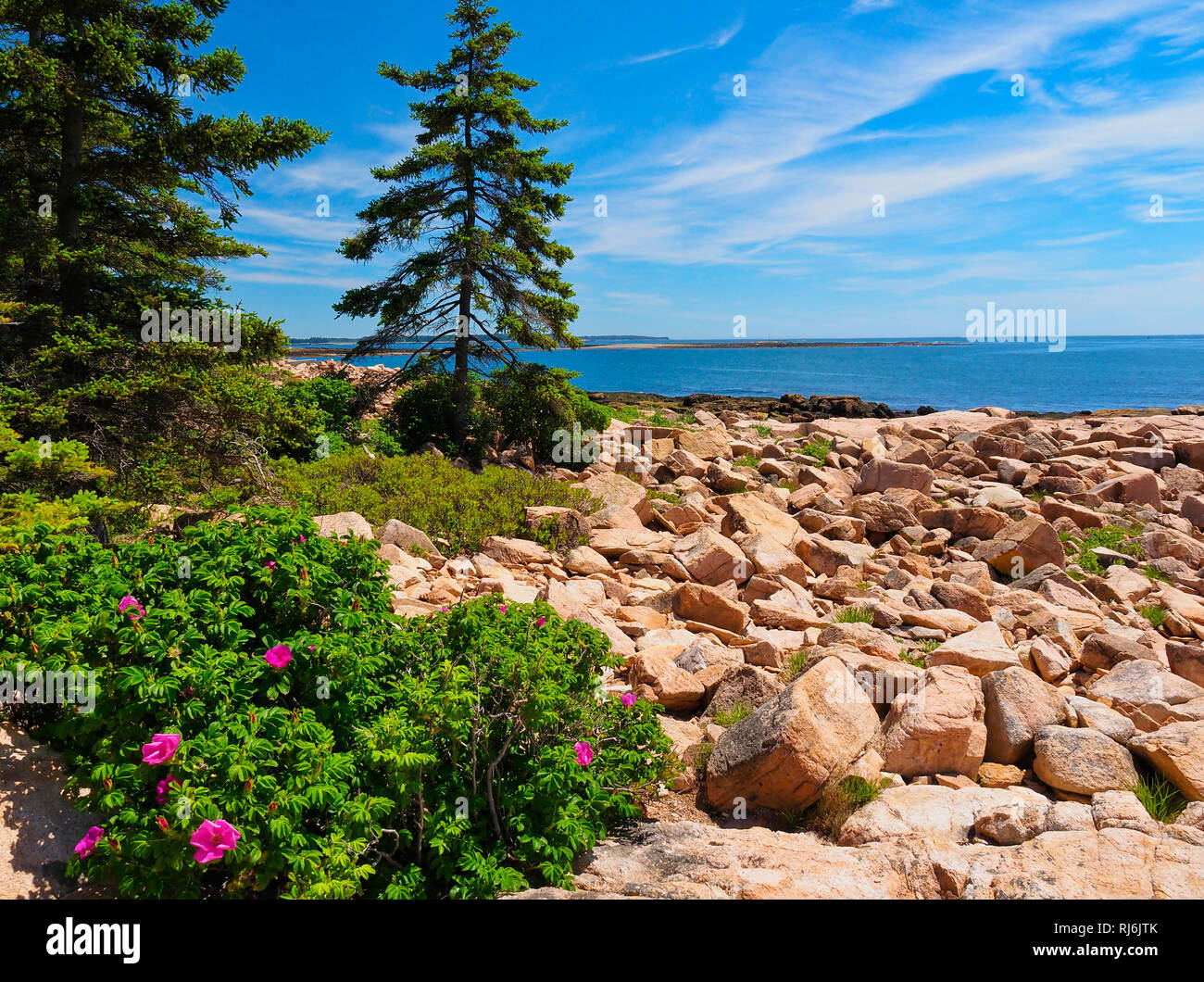 Ship Harbor Trail, Acadia National Park, Maine, USA Stock Photo - Alamy