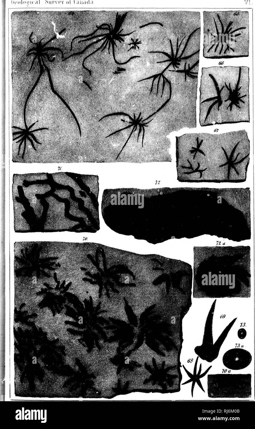 Tl dawson hi-res stock photography and images - Alamy