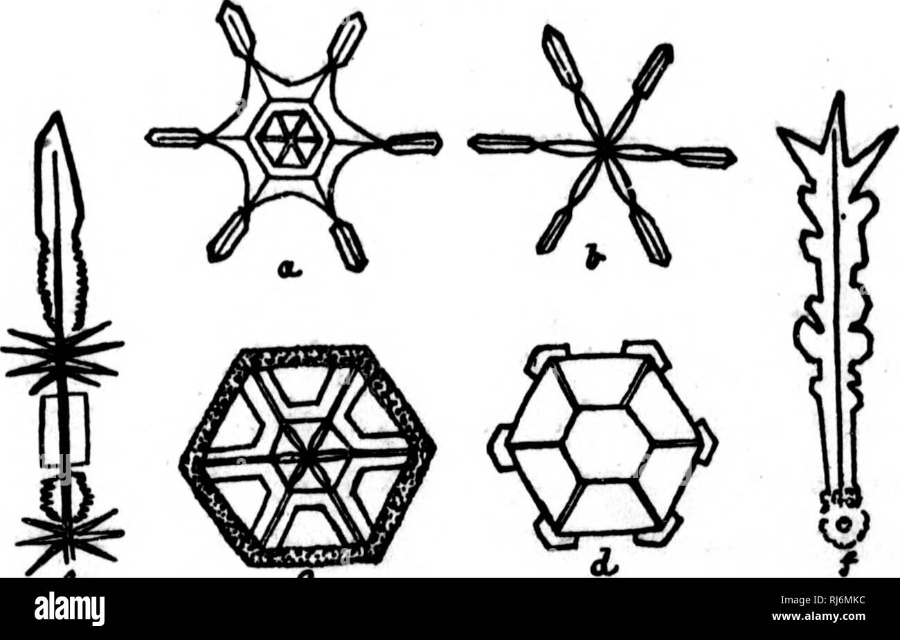Snowflakes microscope Cut Out Stock Images & Pictures - Alamy
