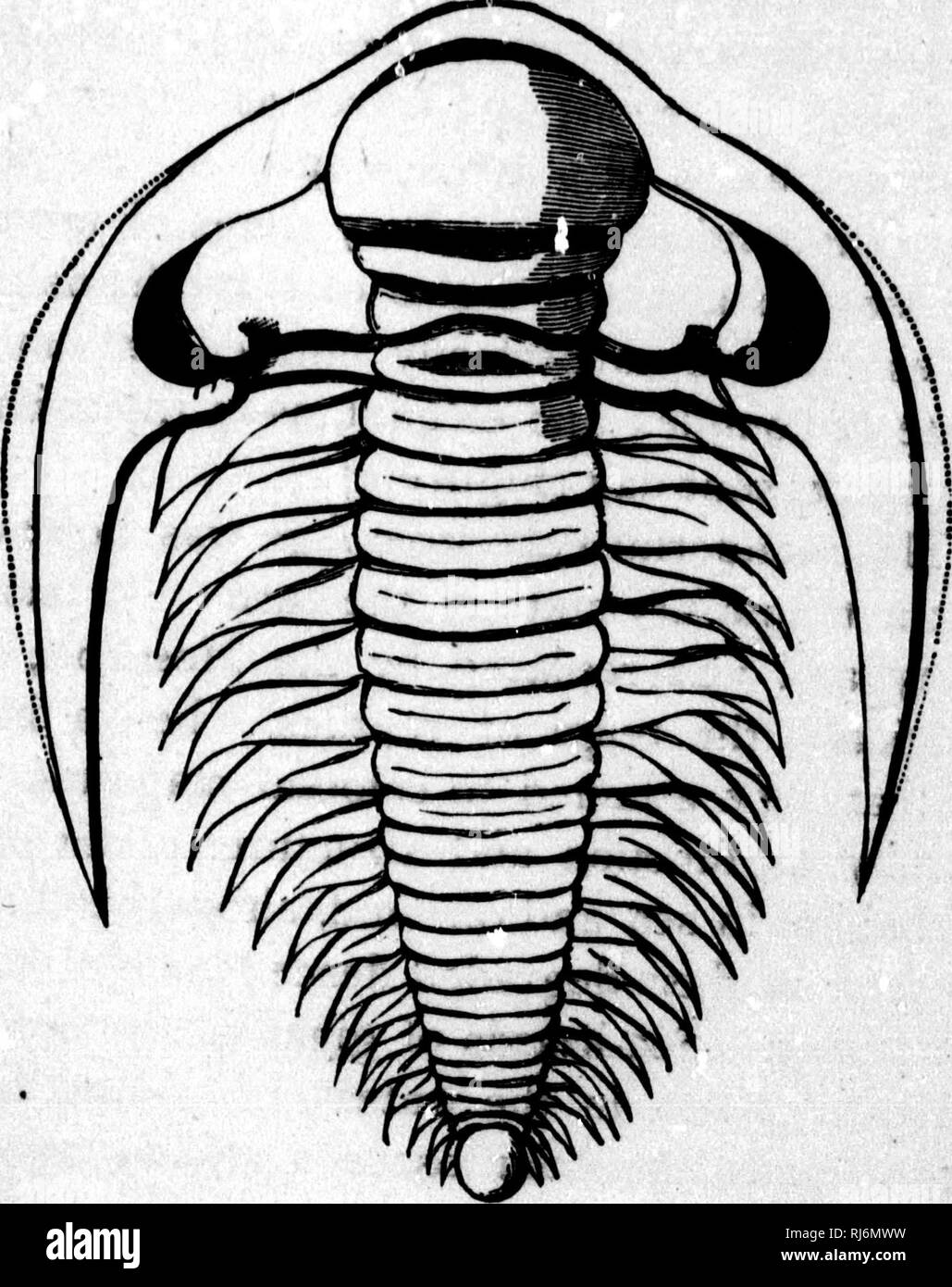 . Facts and fancies in modern science [microform] : studies of the ...
