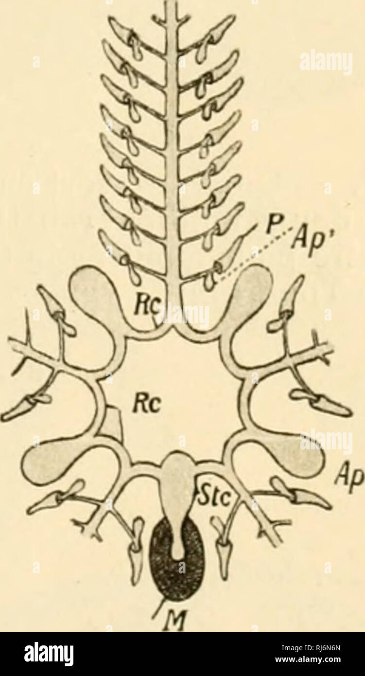 Ma sch hi-res stock photography and images - Alamy