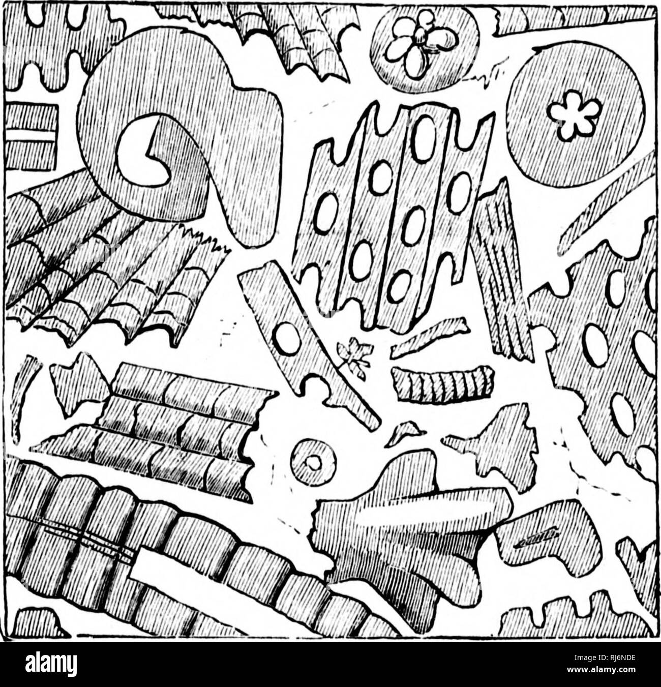 Thin section of limestone hi-res stock photography and images - Alamy