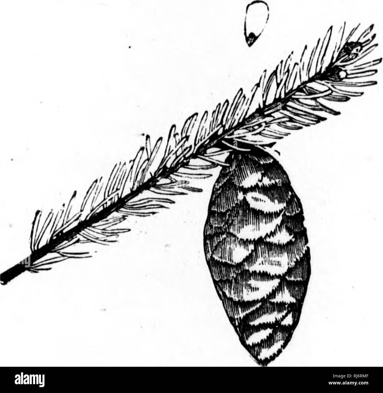 Thirty thousand feet Cut Out Stock Images & Pictures - Alamy