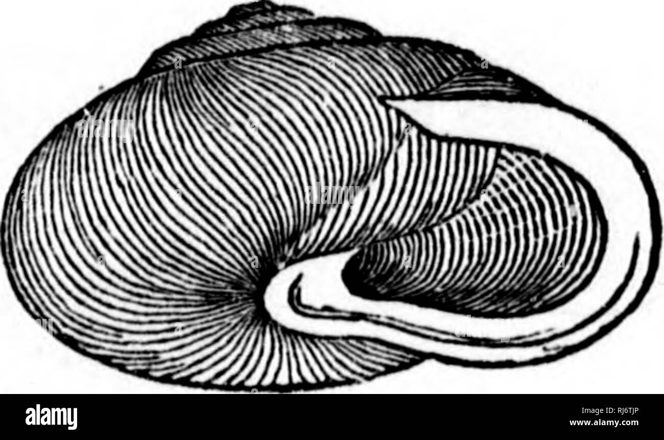 Tenacious mucus hi-res stock photography and images - Alamy