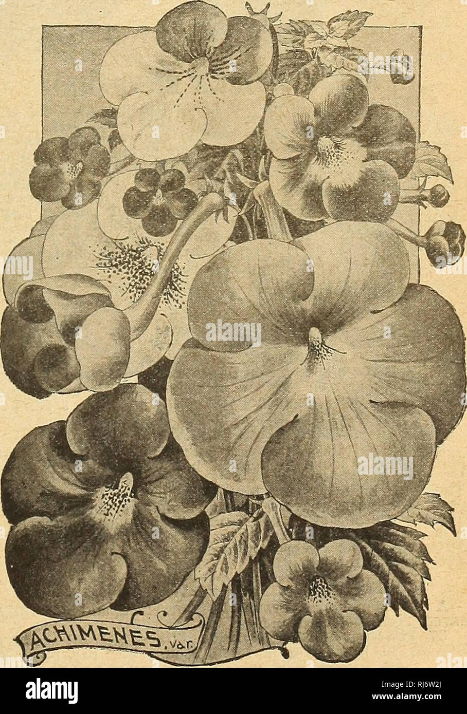. Childs' seeds that satisfy bulbs that bloom plants that please ...