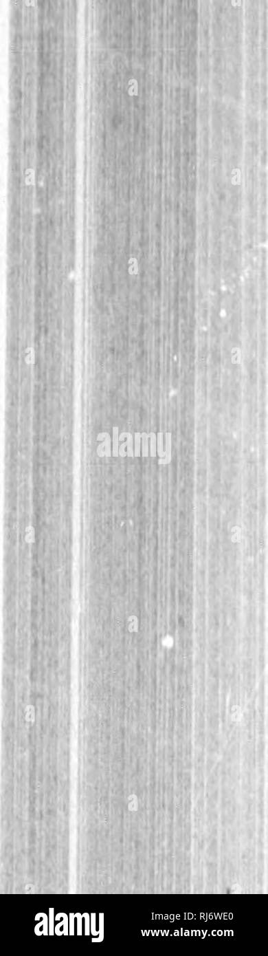 Lower greensand group hi-res stock photography and images - Alamy