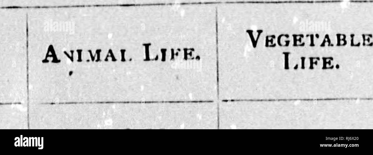 Neozoic Black and White Stock Photos & Images - Alamy