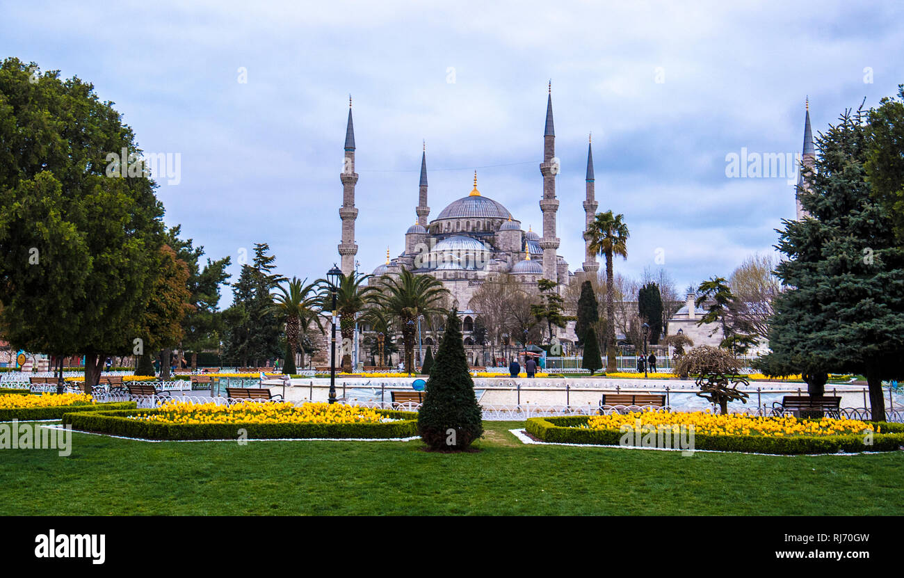 Blue Mosque early in the morning. Panorama of Sultanahmet Camii mosque ...