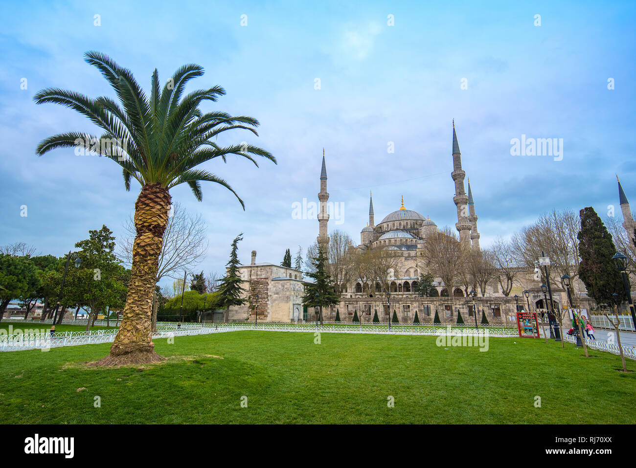 Blue Mosque early in the morning. Panorama of Sultanahmet Camii mosque ...